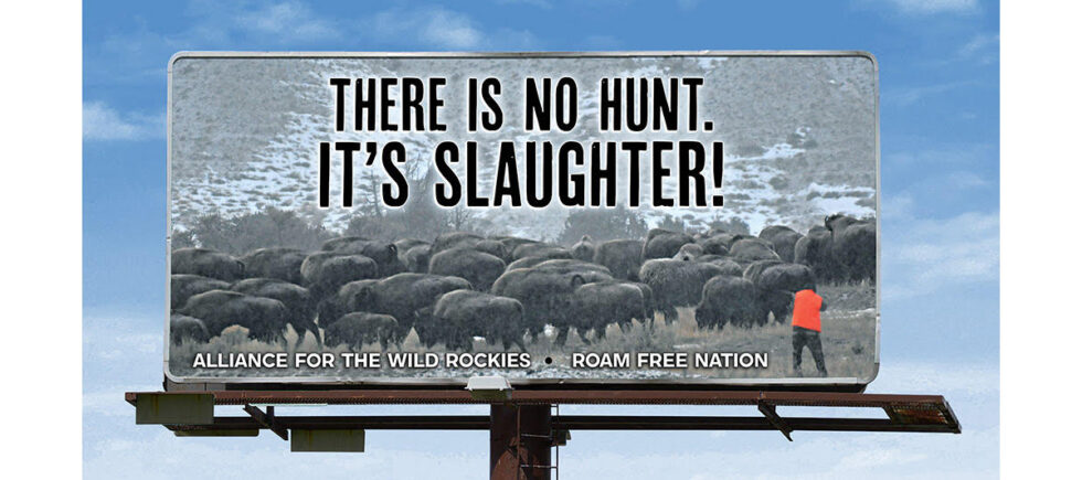 President Biden and Interior Secretary Haaland must stop Yellowstone ...