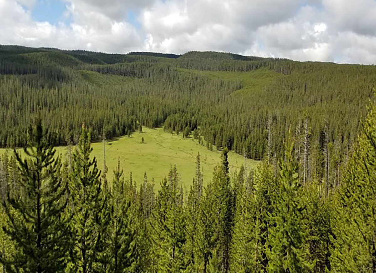 Senator Whitehouse and Congresswoman Dean introduce the Northern ...